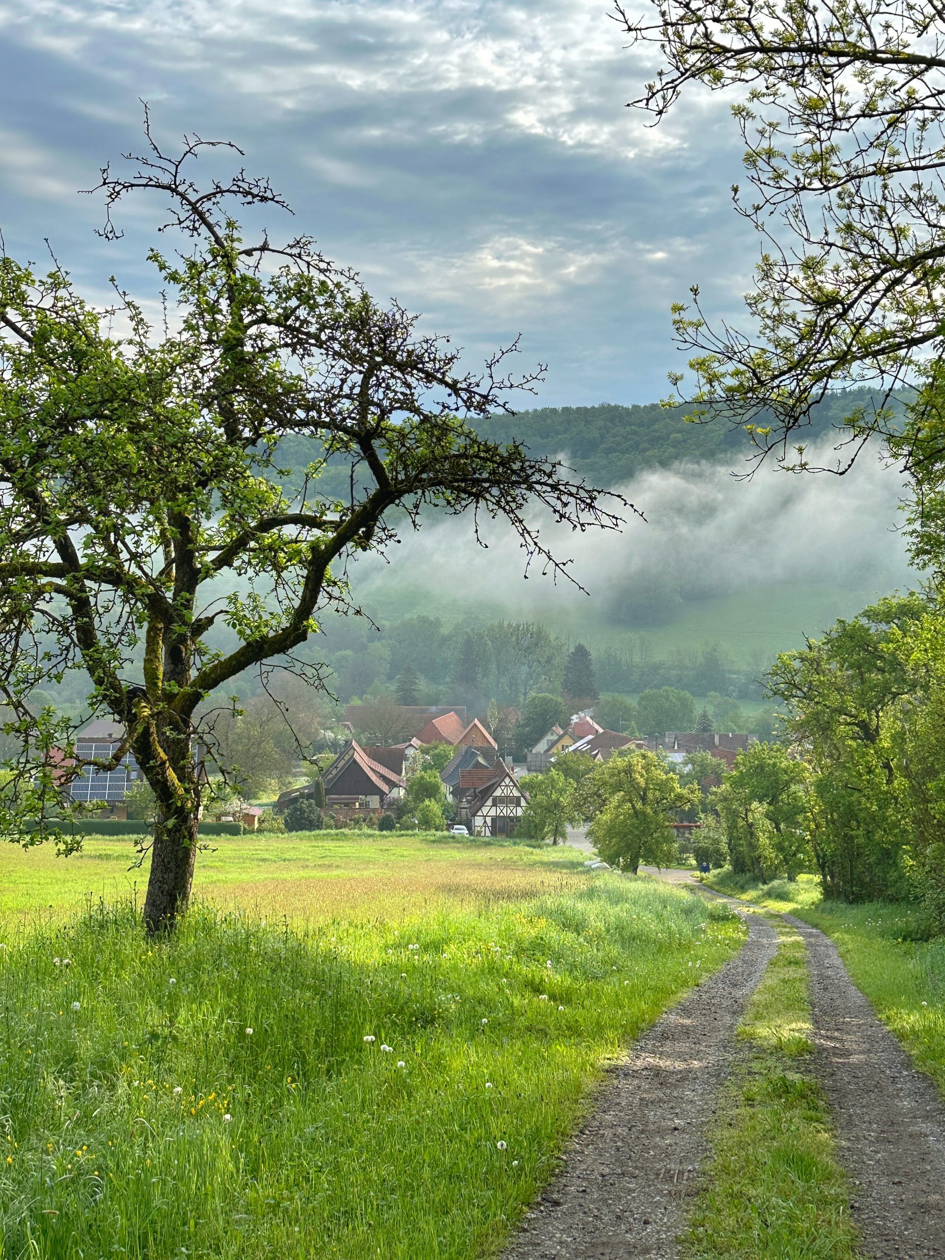 Blog (neu) – Marcel & Mareike Baumgaertner